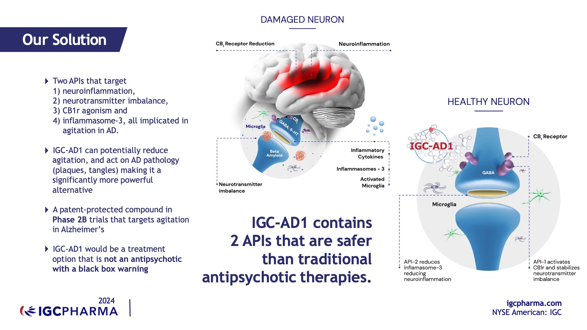 Deck - IGC Pharma, INC.