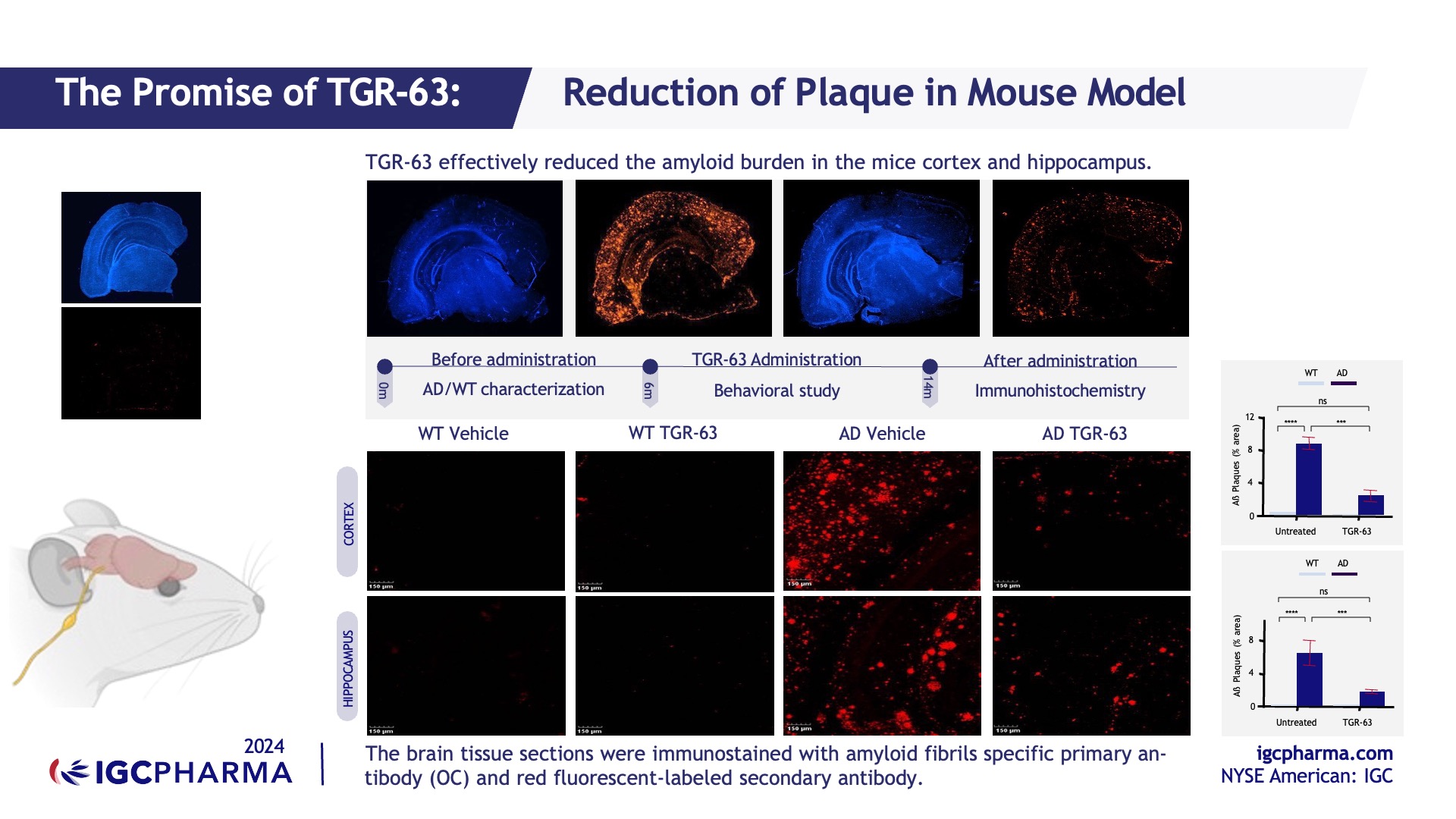 Deck - IGC Pharma, INC.